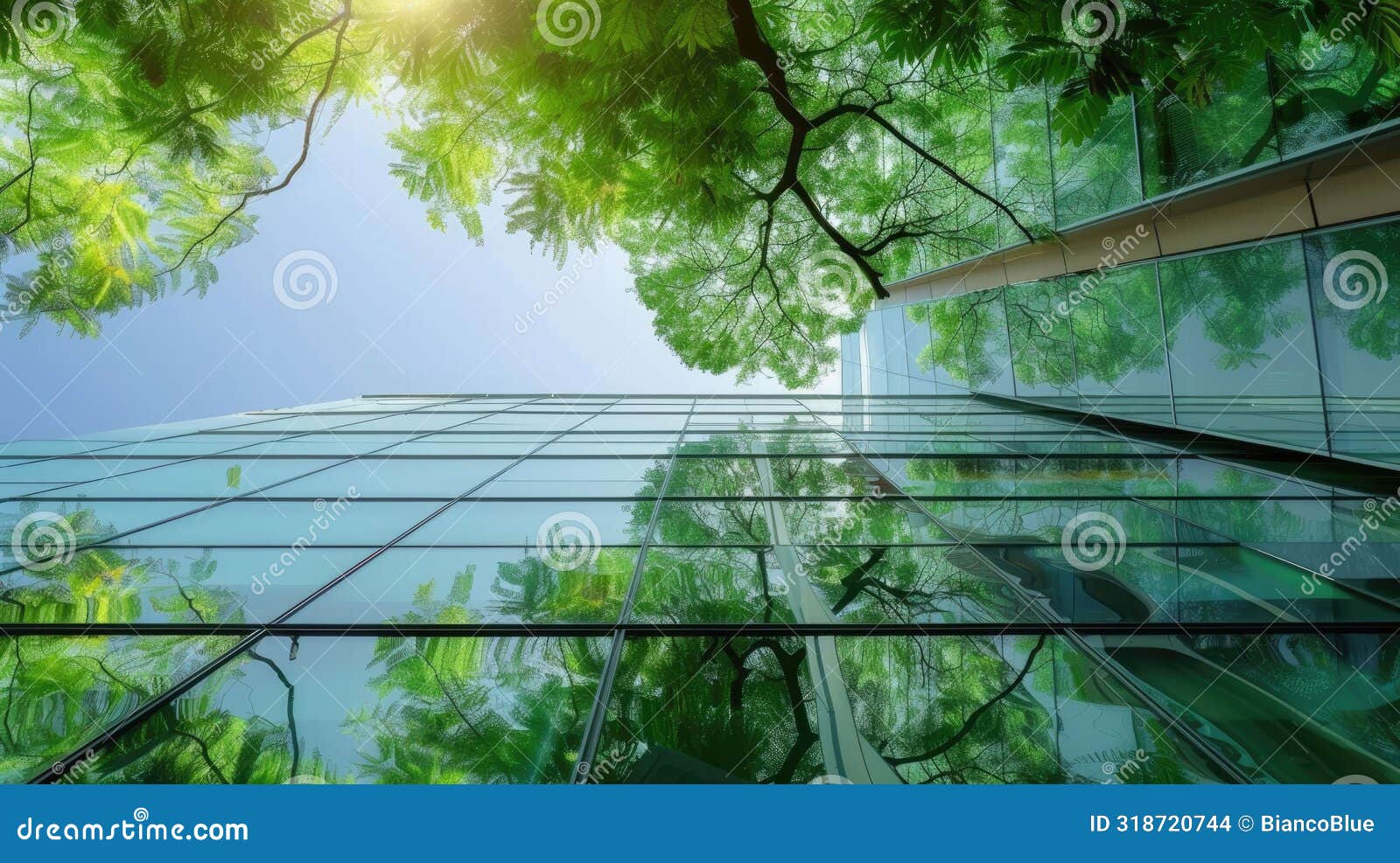 The Mirror Structure Reflect Light and Green Tree on Opposite Under Sun ...