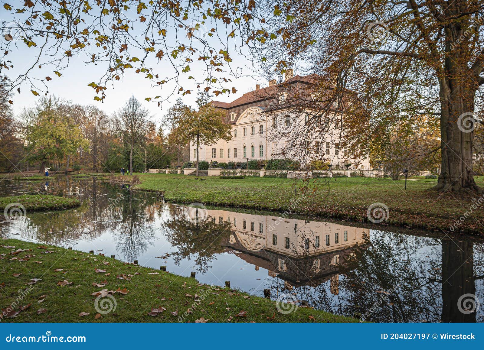 Mirroring in Water in Branitz Park Stock Image - Image of reflections ...