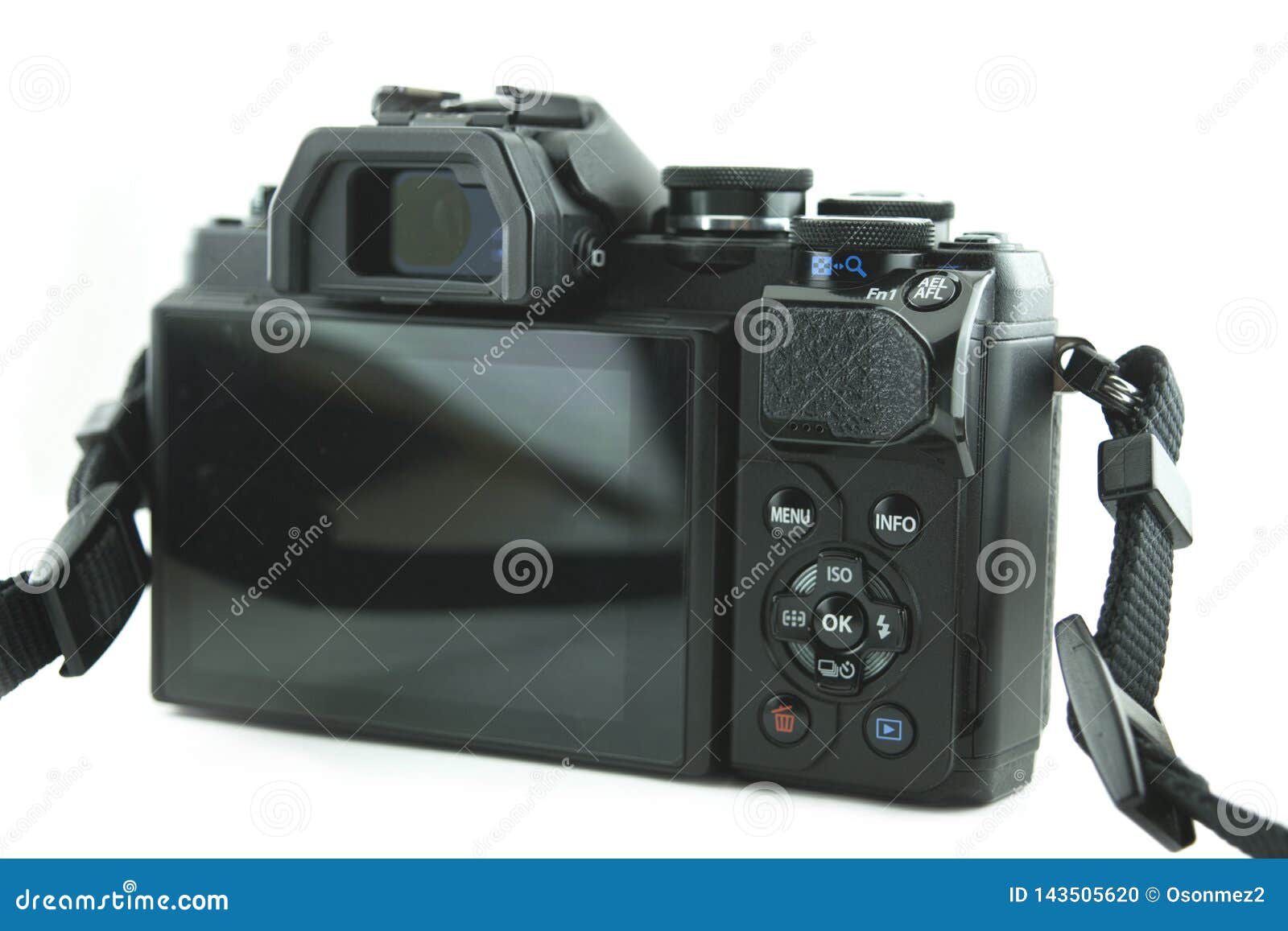 Mirrorless Professional Camera Back Face and Lcd Screen View with ...