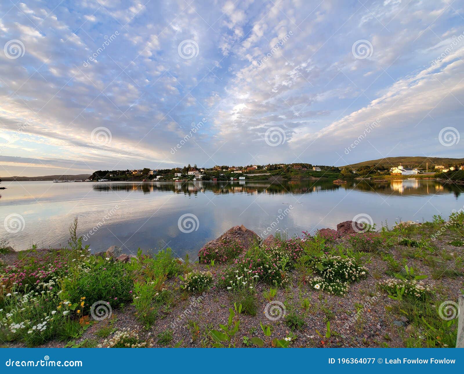 Marystown Stock Photos - Free & Royalty-Free Stock Photos from Dreamstime