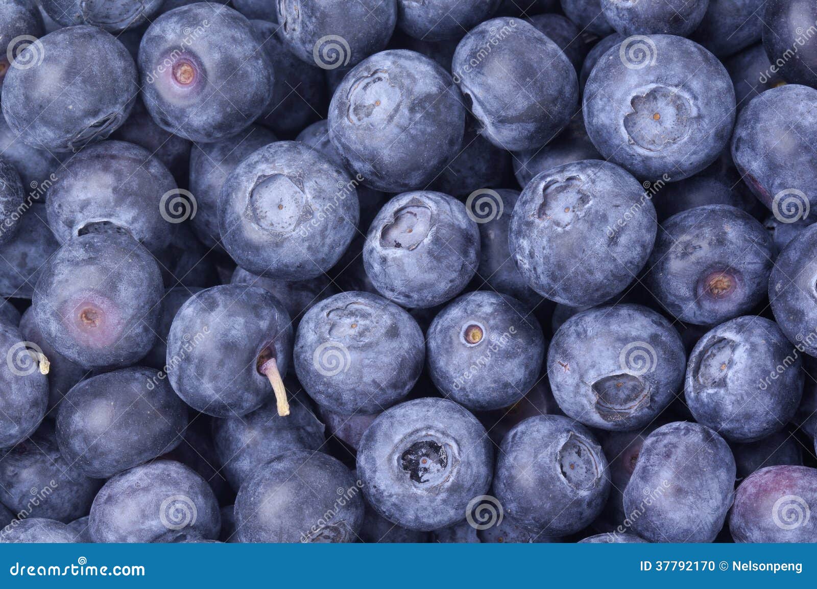 Mirtilli fotografia stock. Immagine di mirtillo, foto - 37792170