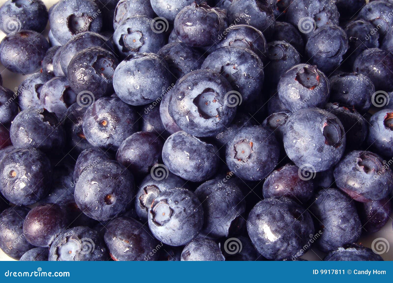 Mirtilli immagine stock. Immagine di immacolata, estate - 9917811
