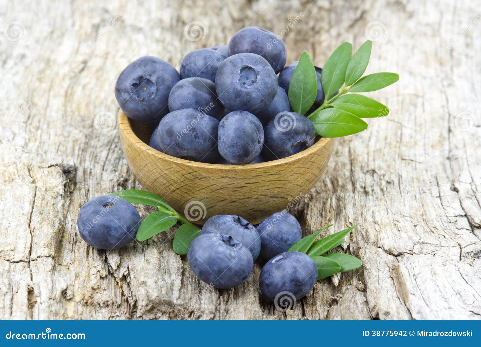 Mirtilli Freschi in Una Ciotola Fotografia Stock - Immagine di alimento ...