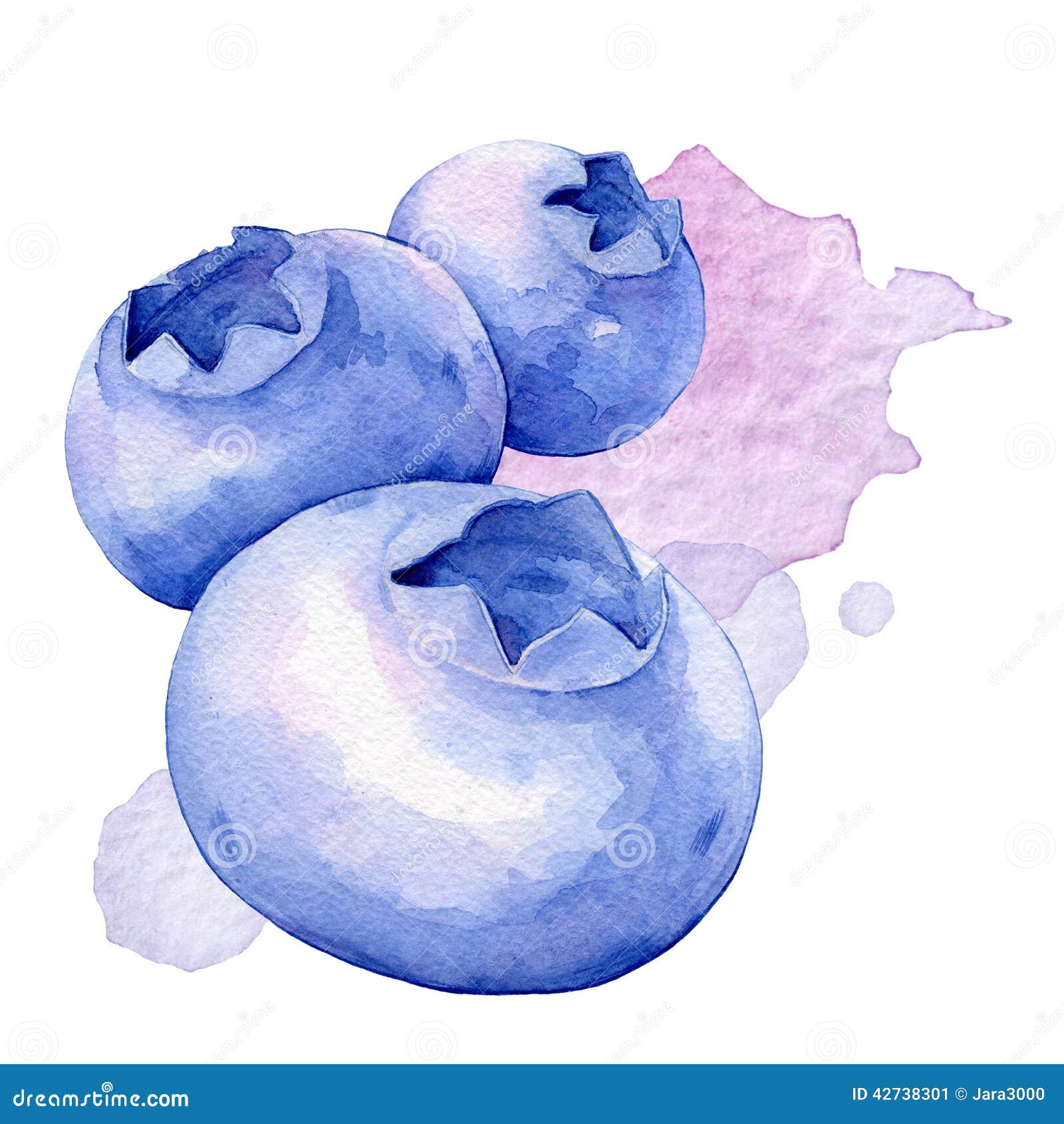 Mirtilli Illustrazione Dell'acquerello Illustrazione di Stock ...