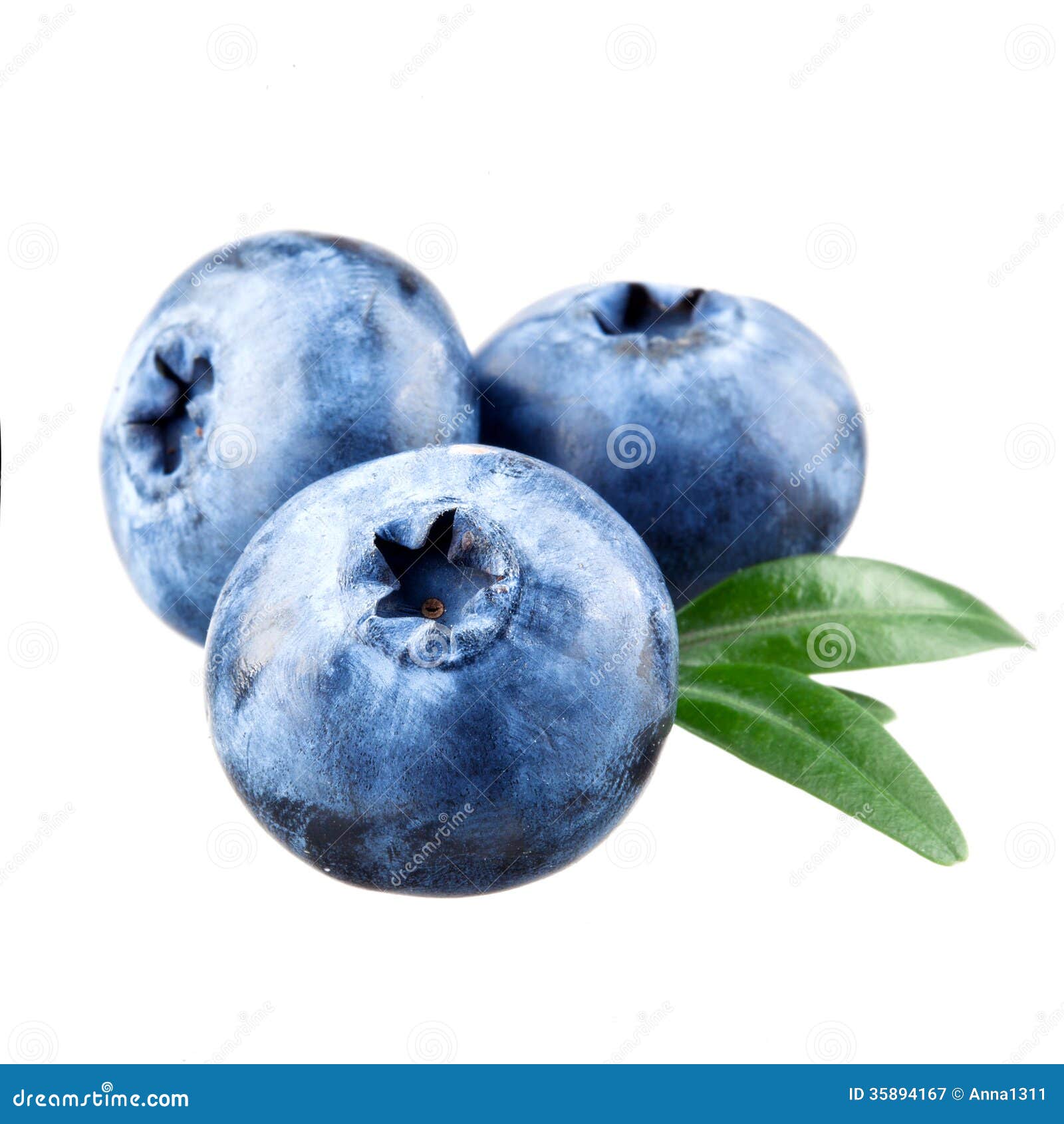 Mirtilli isolati su bianco immagine stock. Immagine di bacche - 35894167