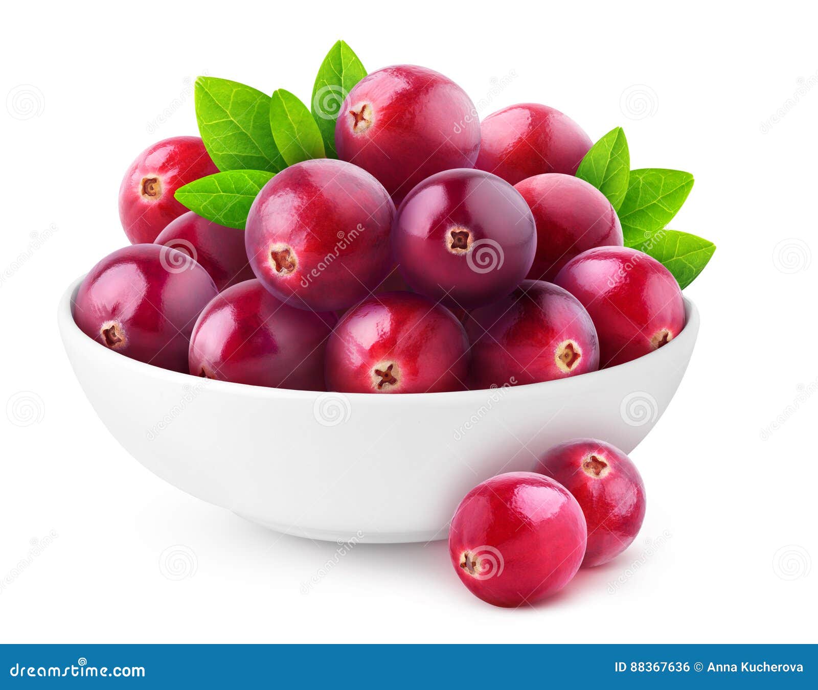 Mirtilli Rossi Isolati in Una Ciotola Fotografia Stock - Immagine di ...