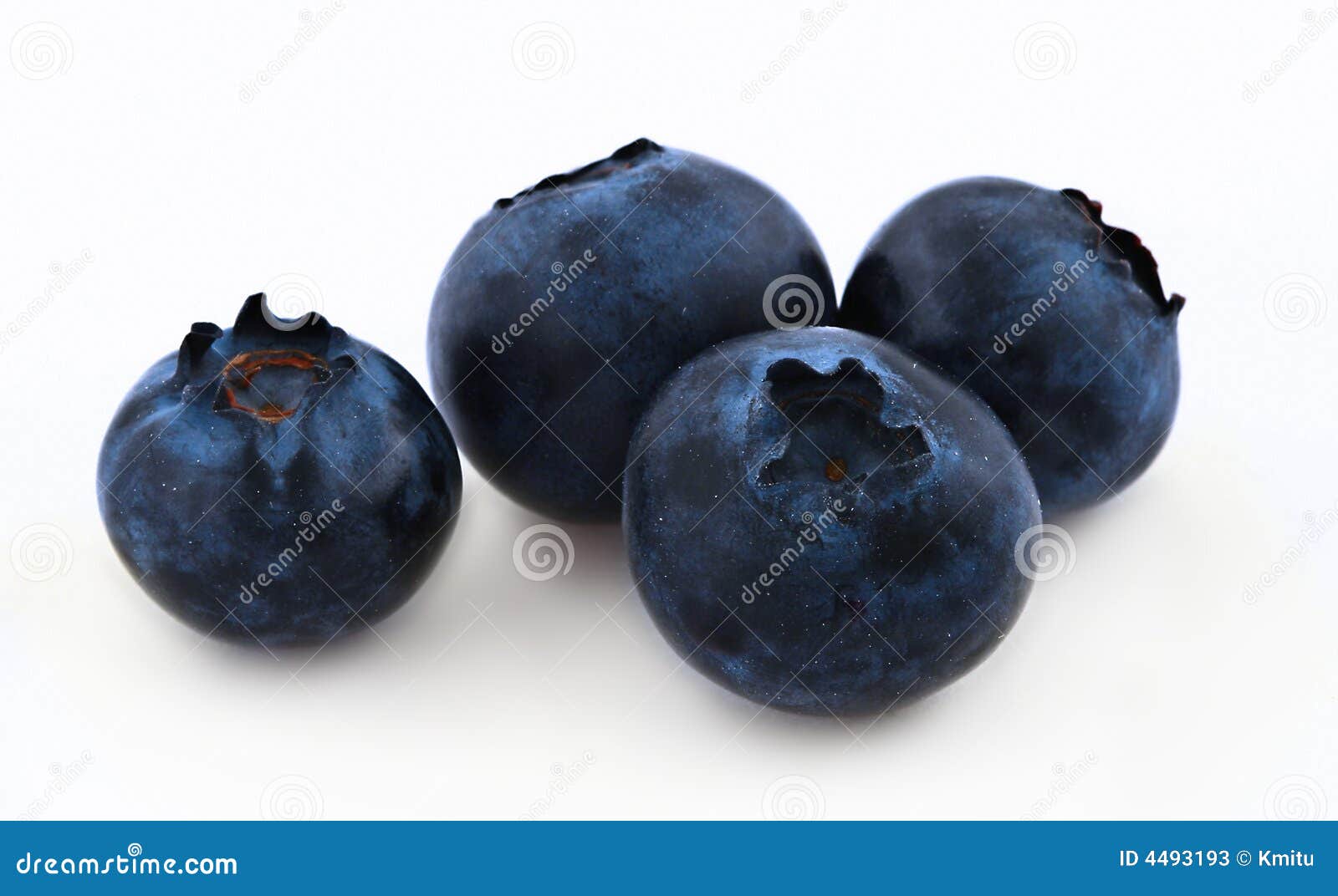 Mirtilli su bianco immagine stock. Immagine di colpo, macro - 4493193