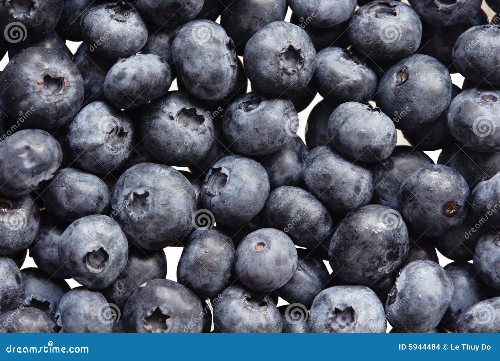 Mirtillo fotografia stock. Immagine di consumo, alimento - 5944484