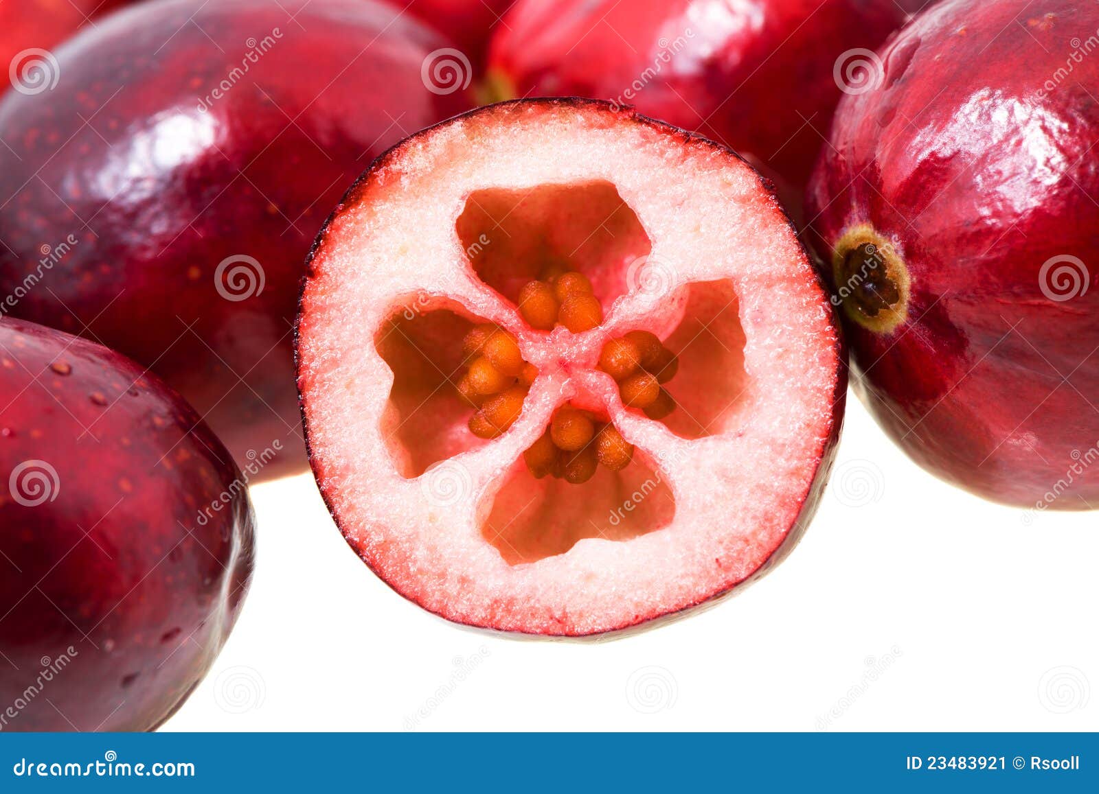 Mirtillo rosso immagine stock. Immagine di macro, freschezza - 23483921