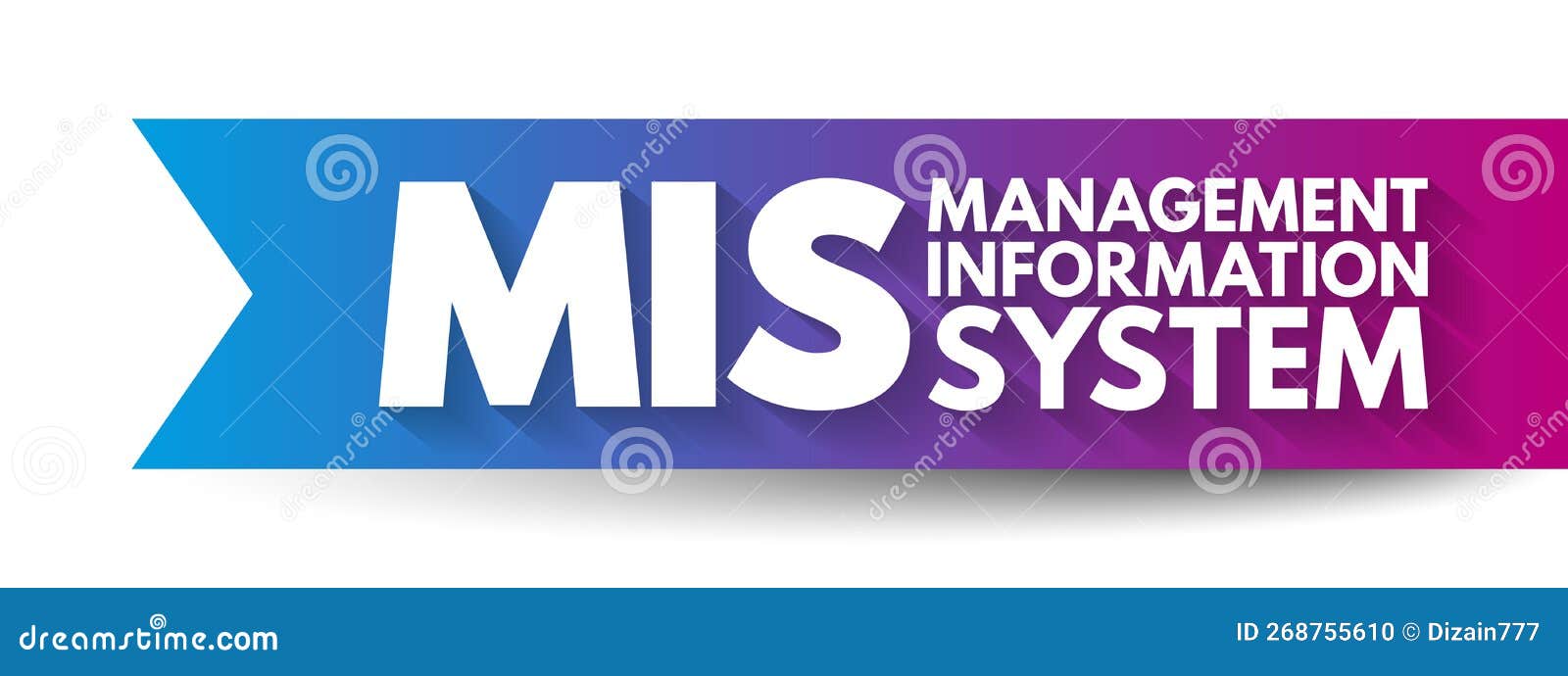 MIS Management Information System - Study of People, Technology ...