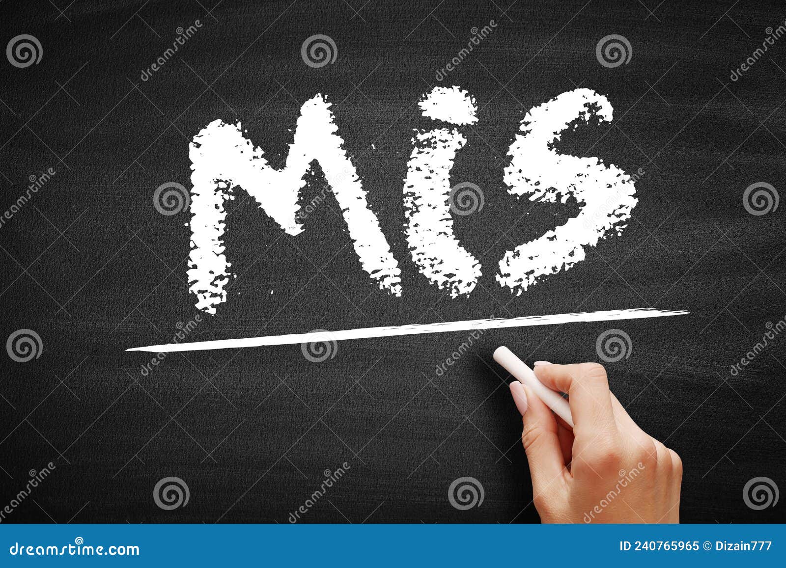 MIS Management Information Systems - Study of People, Technology ...