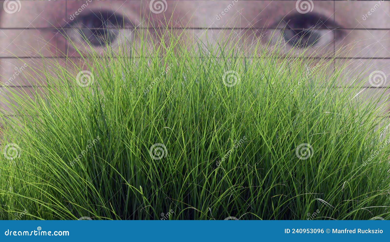 Chinese Reed Leaves Woven Spiral Shape Crafts Of Background Royalty ...