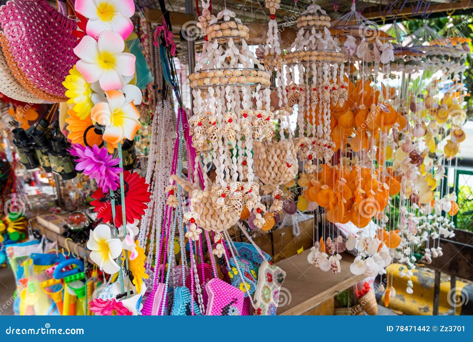 Miscellaneous Seashells Collection for Sale Stock Photo - Image of ...