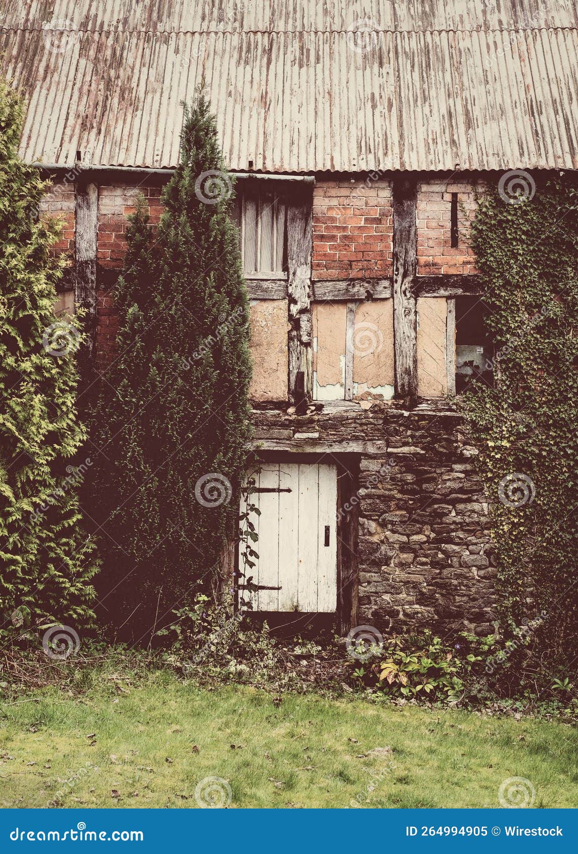 Mismatched White Door of a Run Down Barn Stock Image - Image of ...
