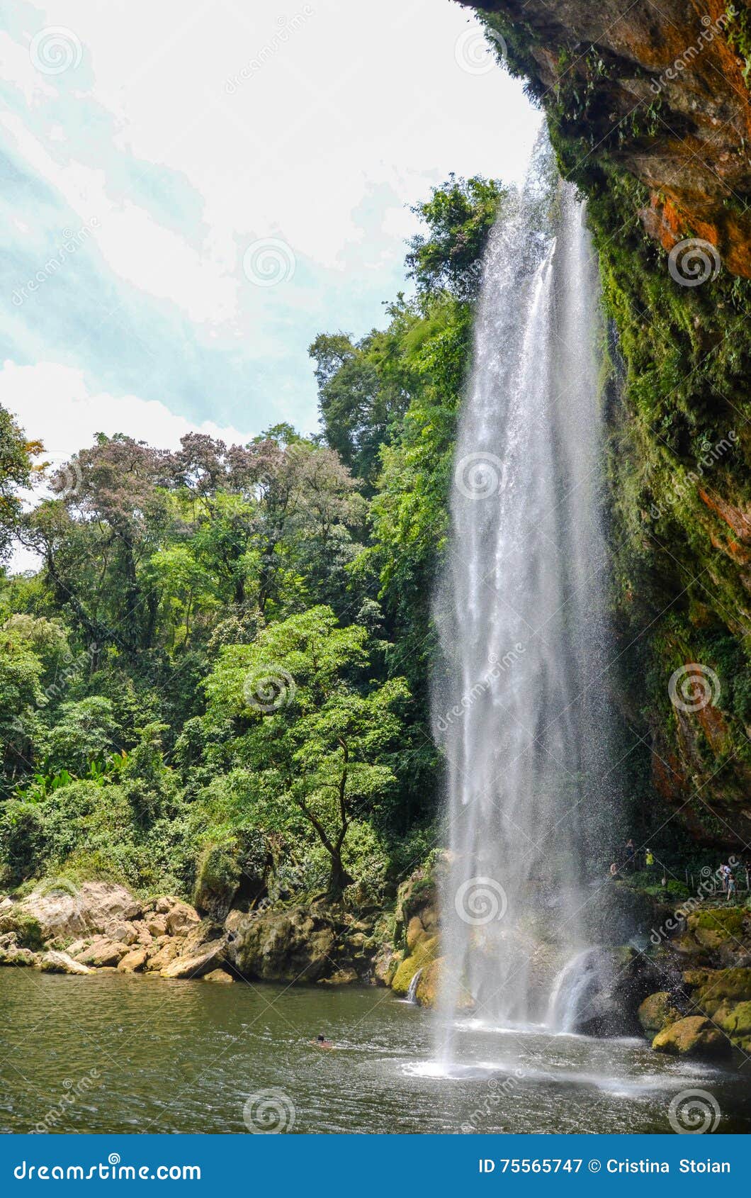 Misol Ha Waterfall, Chiapas, Mexico Stock Image - Image of vegetation ...