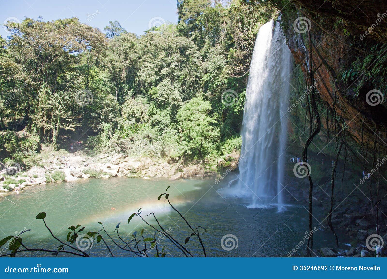 Misol-Ha Waterfall, Chiapas, Mexico Stock Photo - Image of refreshing ...