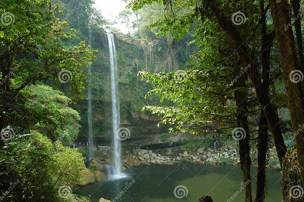 Misol Ha Waterfall, Mexico. Stock Photo - Image of mexico, clean: 2767972