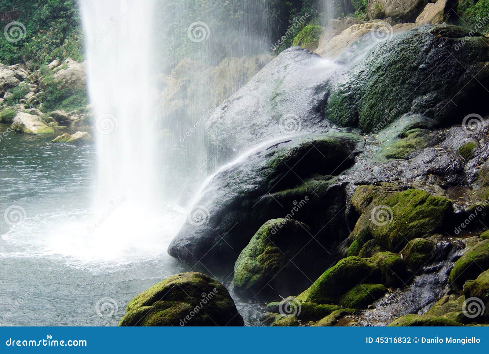 Misola Stock Photos - Free & Royalty-Free Stock Photos from Dreamstime