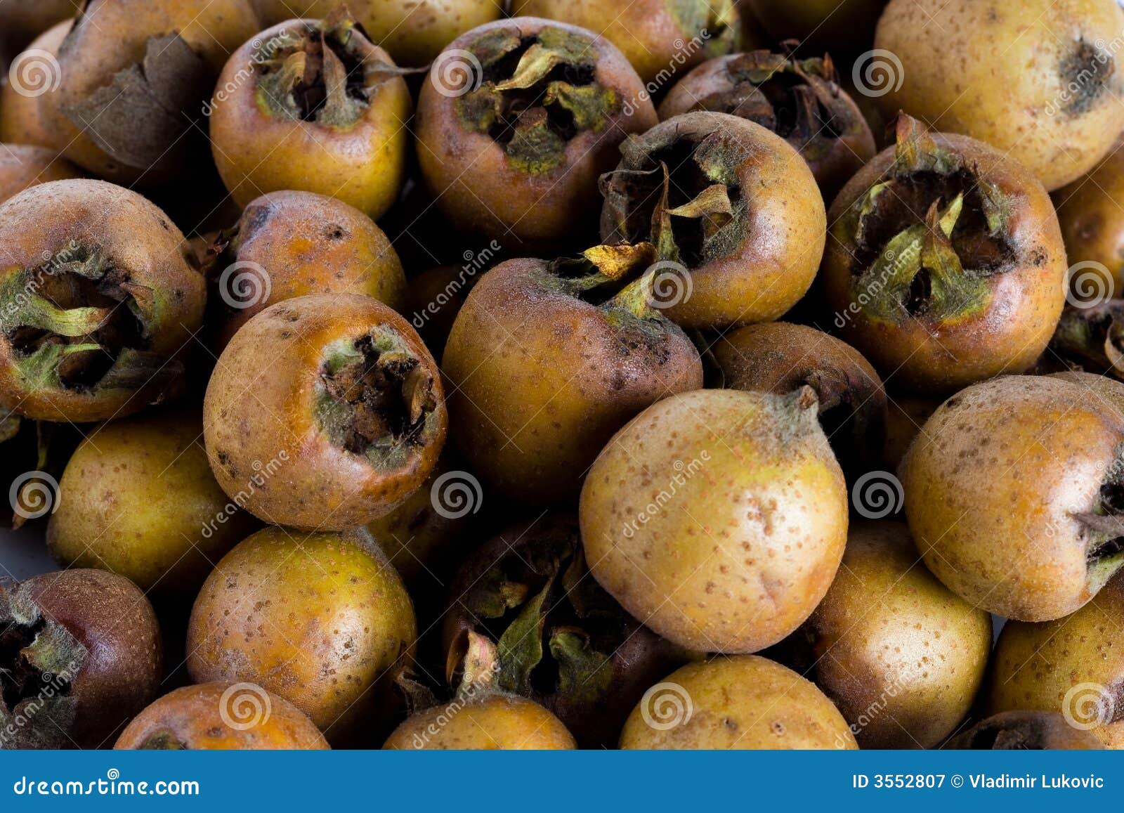 Mispel stock afbeelding. Image of vrucht, seizoengebonden - 3552807