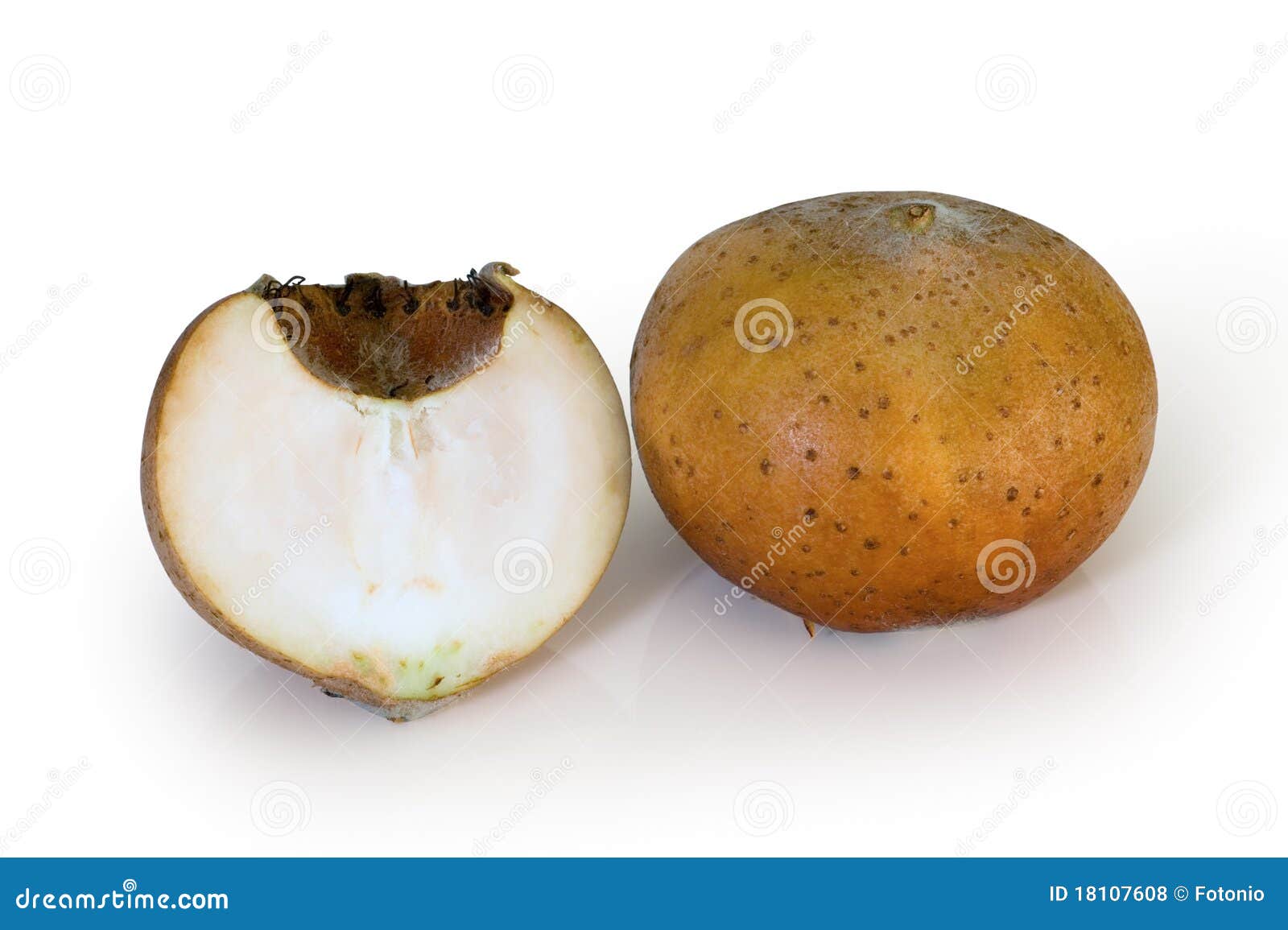 MISPEL of MISPEL (MESPILUS GERMANICA) Stock Foto - Image of zoet ...