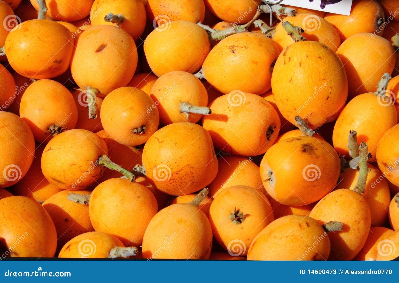 Mispeln stockbild. Bild von frucht, greengrocery, sonderkommando - 14690473