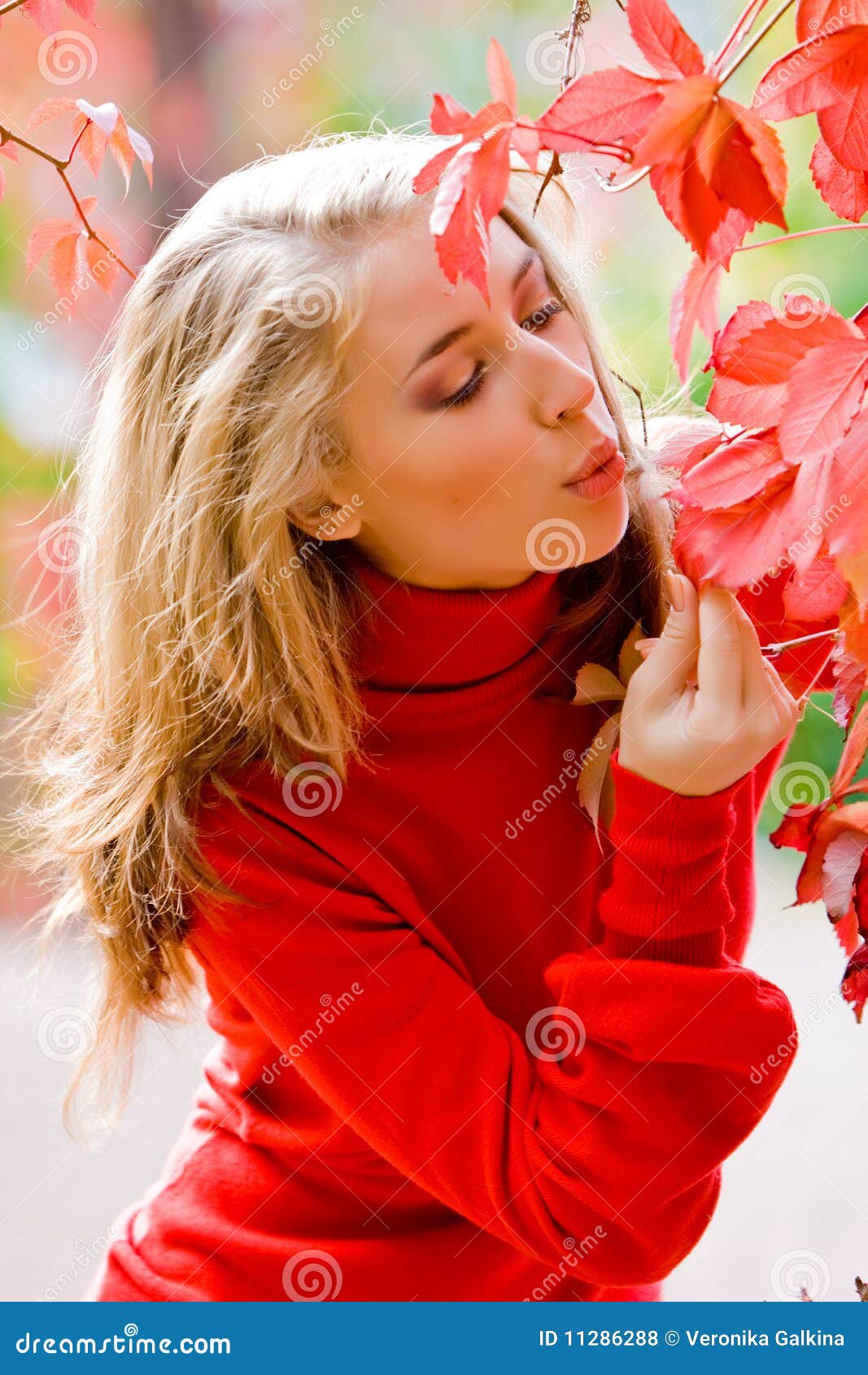 Miss autumn stock photo. Image of european, expression - 11286288