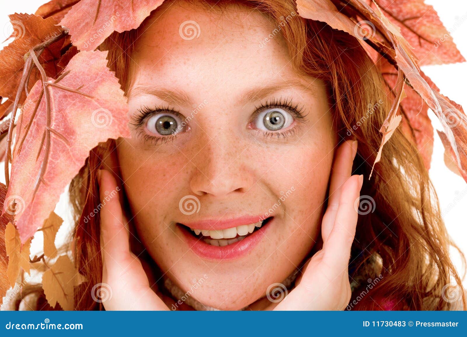 Miss autumn stock image. Image of looking, charming, caucasian - 11730483