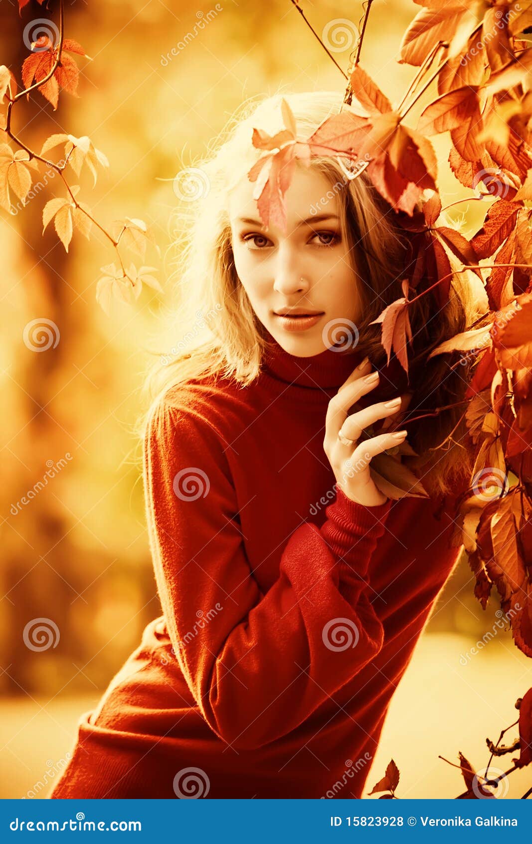 Miss autumn stock photo. Image of face, beauty, european - 15823928