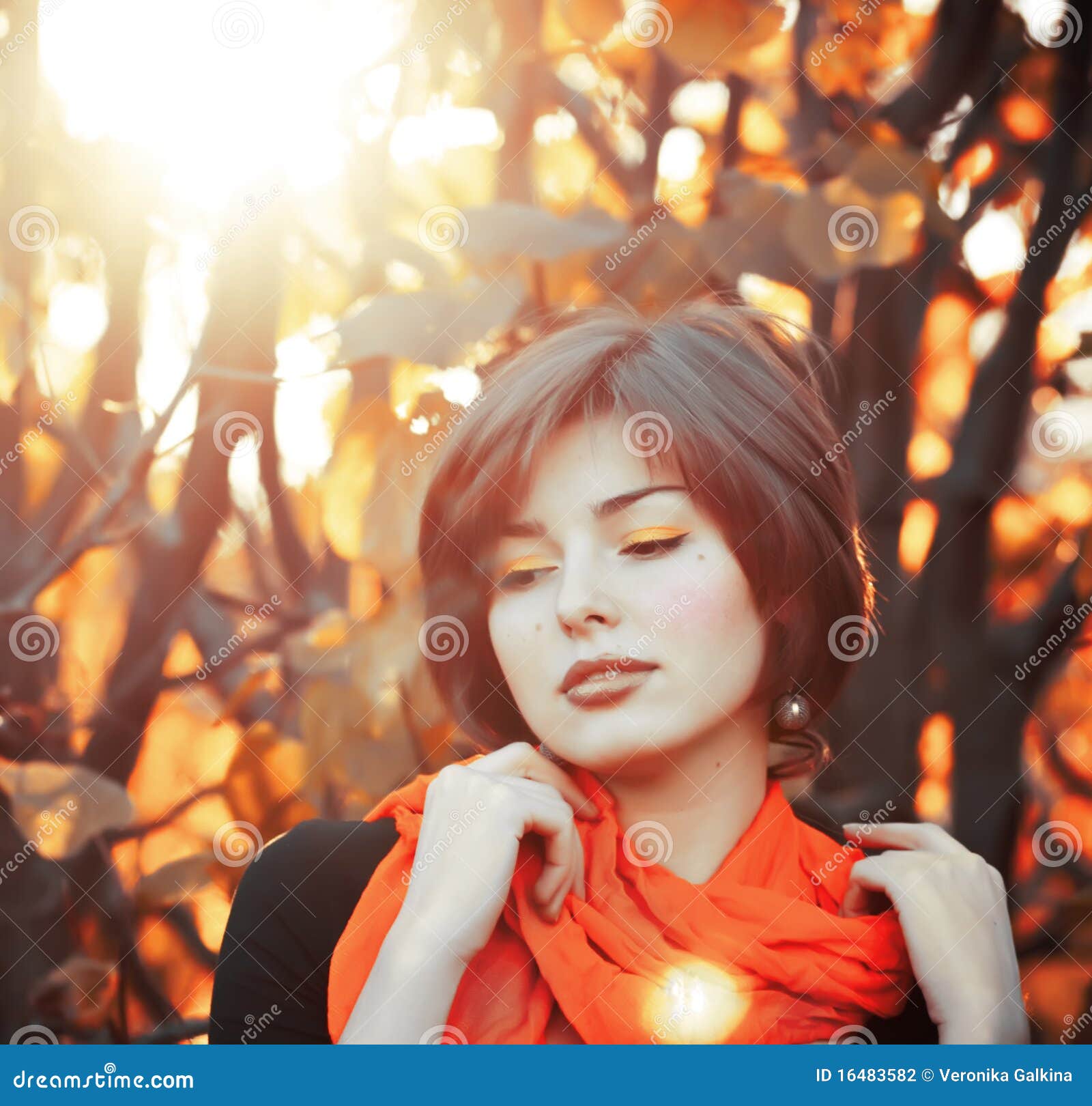 Miss autumn stock photo. Image of beautiful, fashion - 16483582