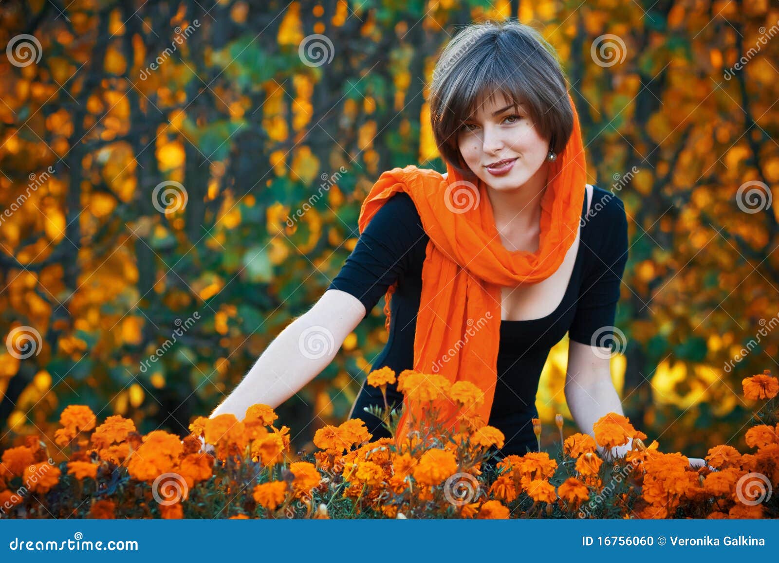 Miss autumn stock photo. Image of flowers, leaf, autumn - 16756060