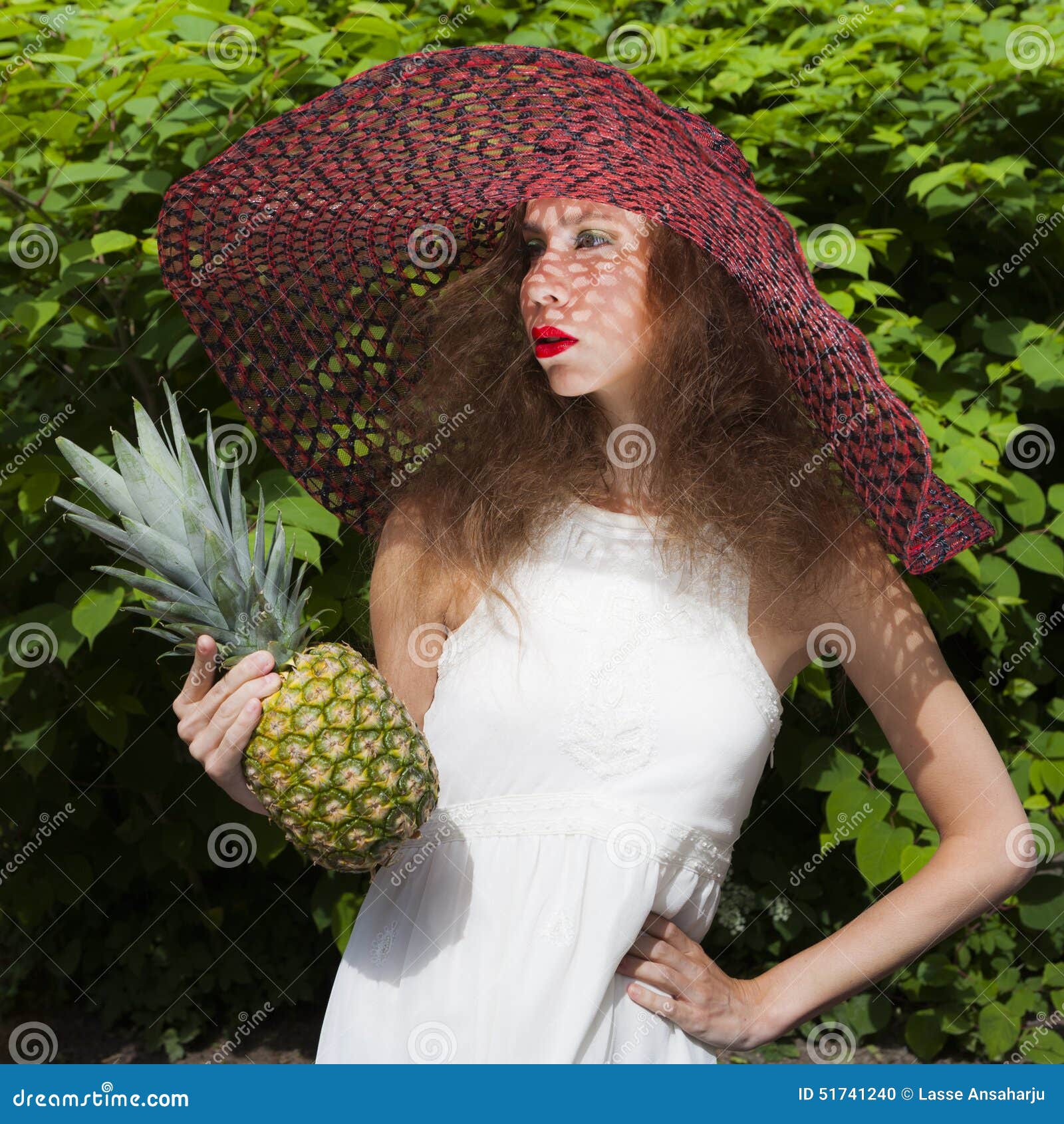 Miss Pineapple stock photo. Image of dramatic, beautiful - 51741240