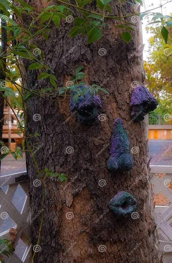 Miss Tree stock image. Image of miss, face, brown, tree - 137974459