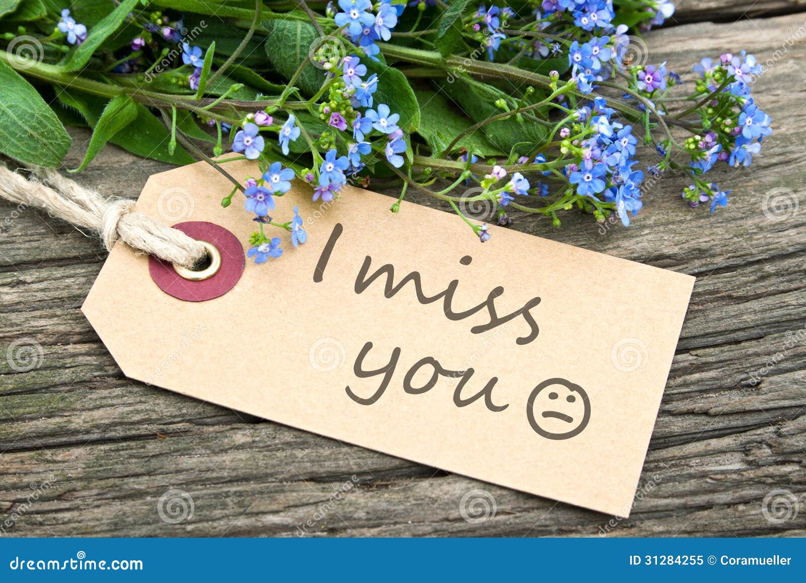 Miss you stock image. Image of bouquets, writing, wood - 31284255