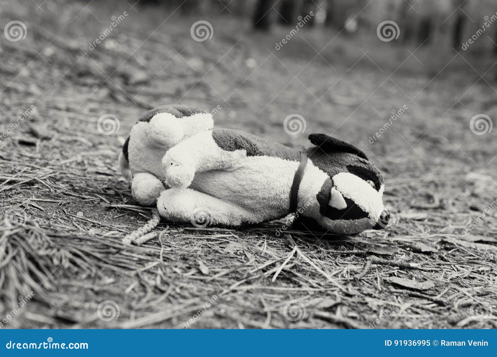 Missing Child. Abandoned Toy. Loneliness. Black and White Image. Stock ...