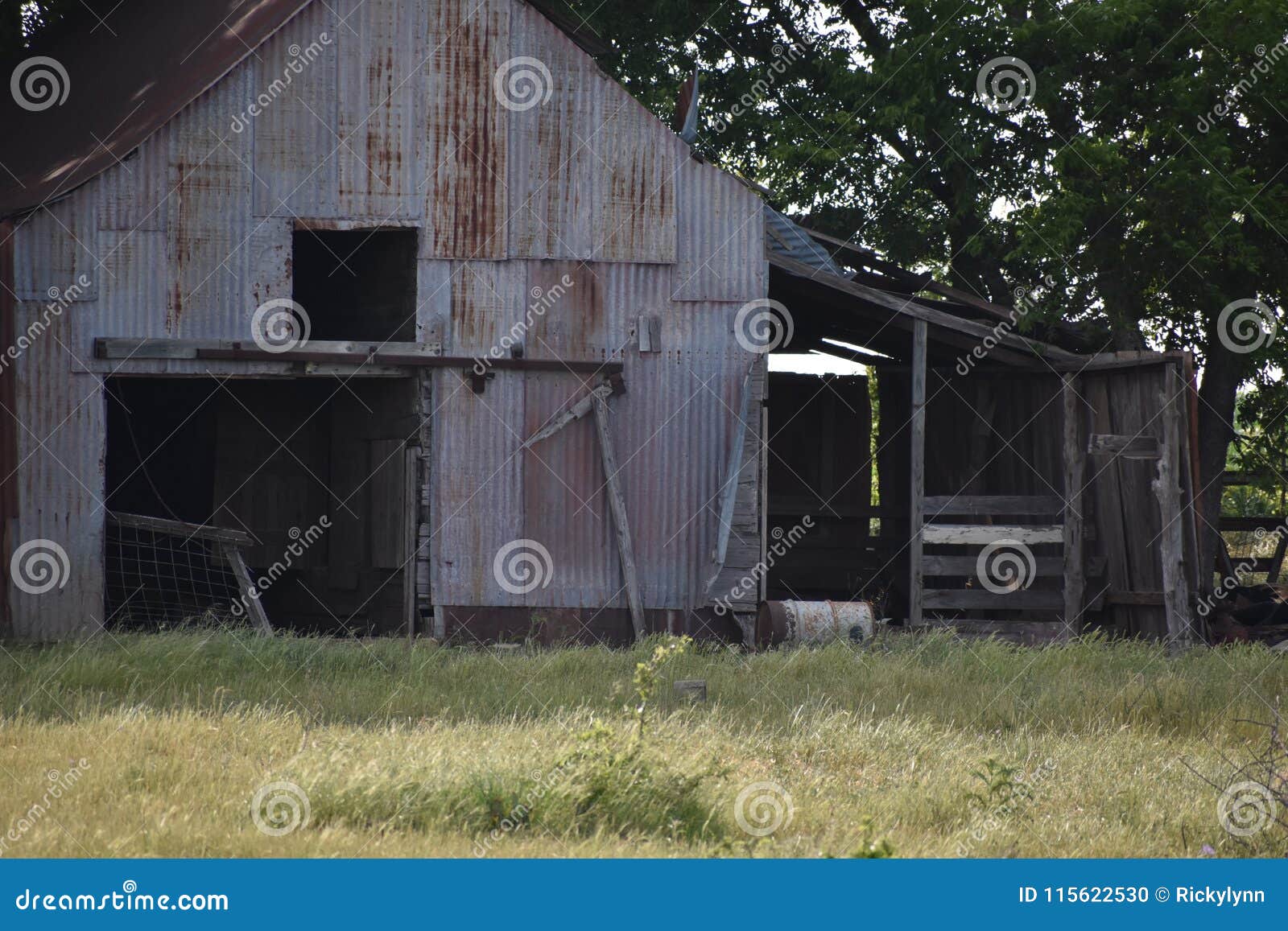 Rusty Barn in Texas stock photo. Image of still, missing - 115622530
