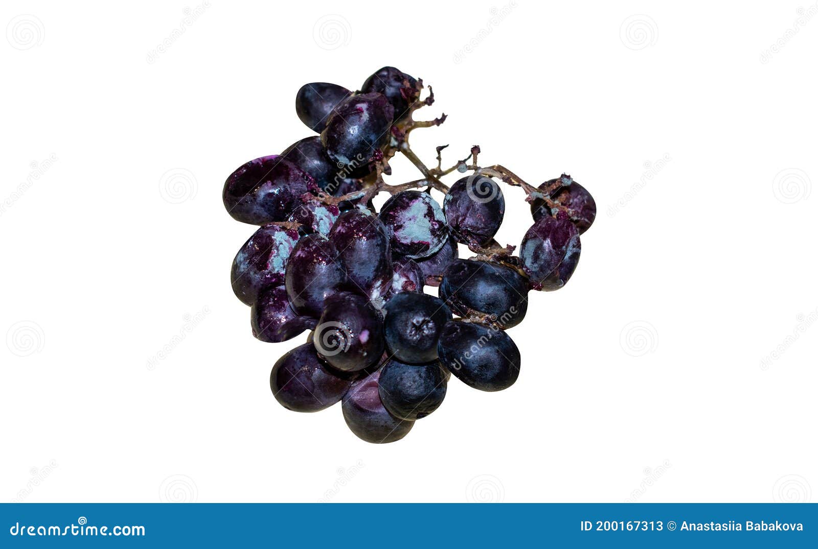 Missing Grapes Isolated on a White Background. a Bunch of Grapes with ...