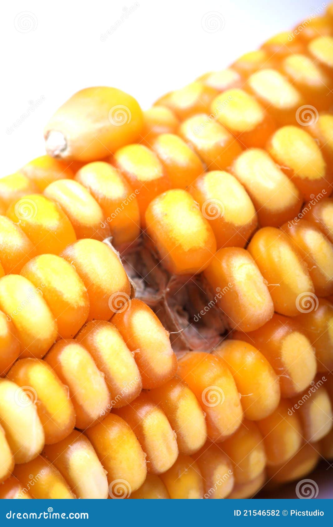 Missing part stock photo. Image of healthy, corn, white - 21546582