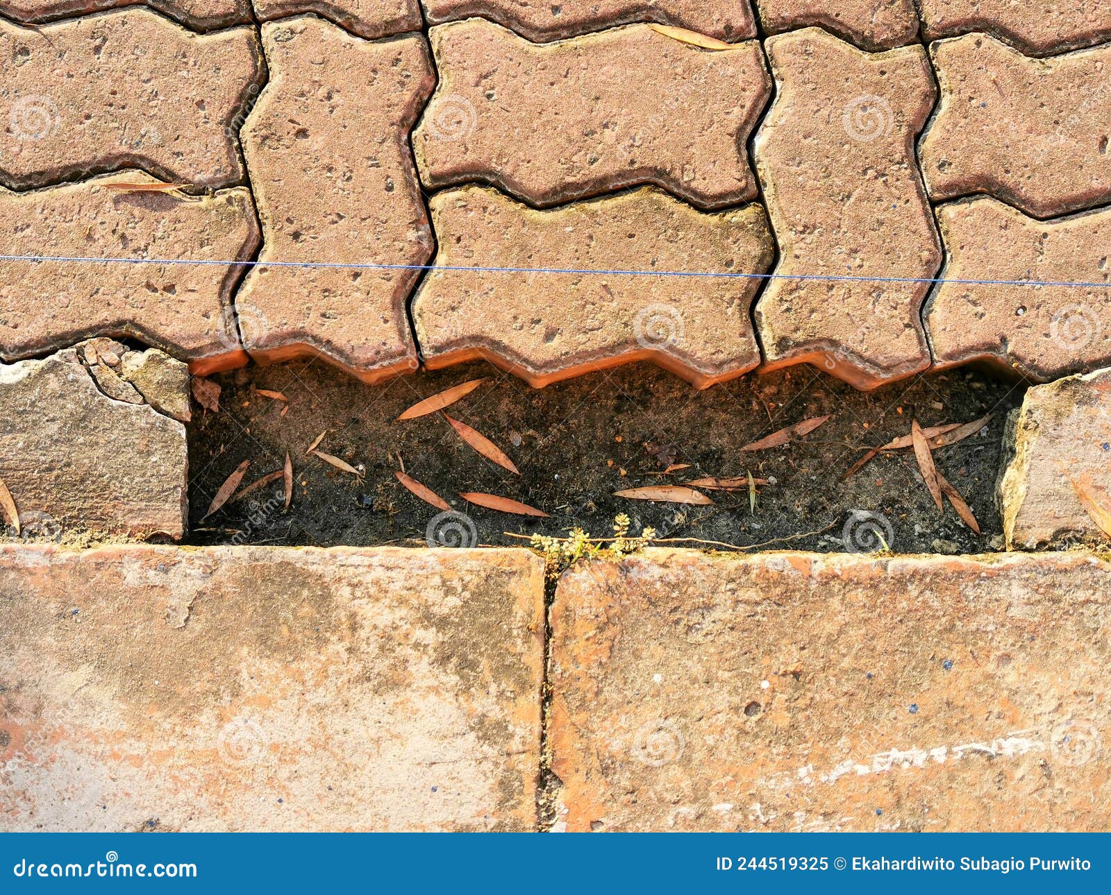 Missing Paver Bricks Floor Pathway. Selective Focus Stock Image - Image ...