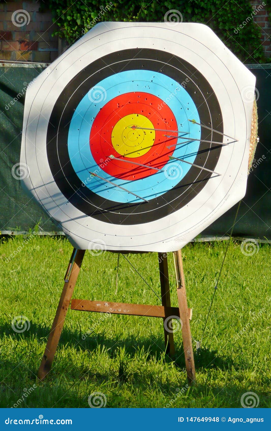 Missing target stock photo. Image of real, medieval - 147649948