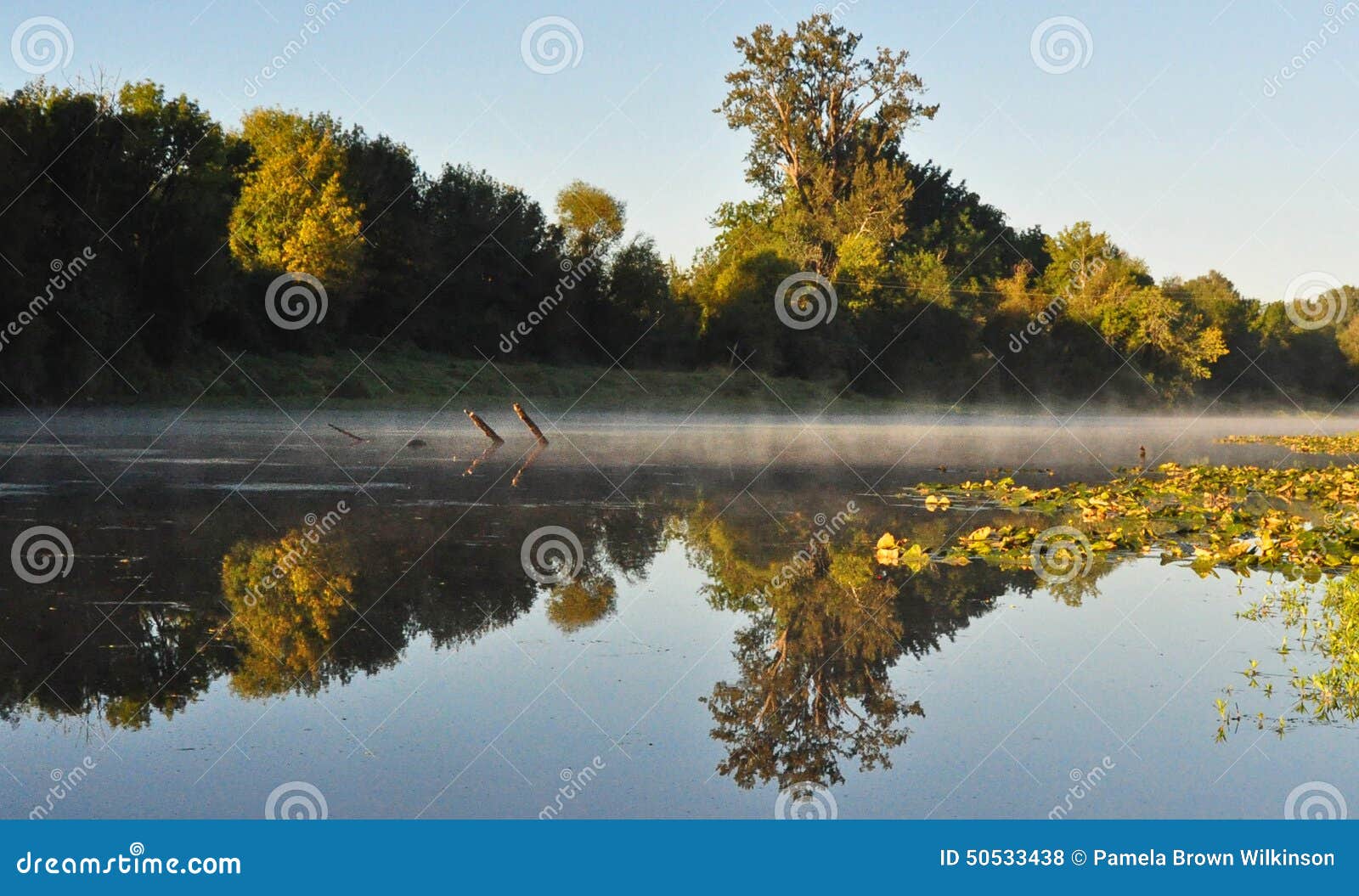 Mission Lake Reflection stock photo. Image of calm, mist - 50533438