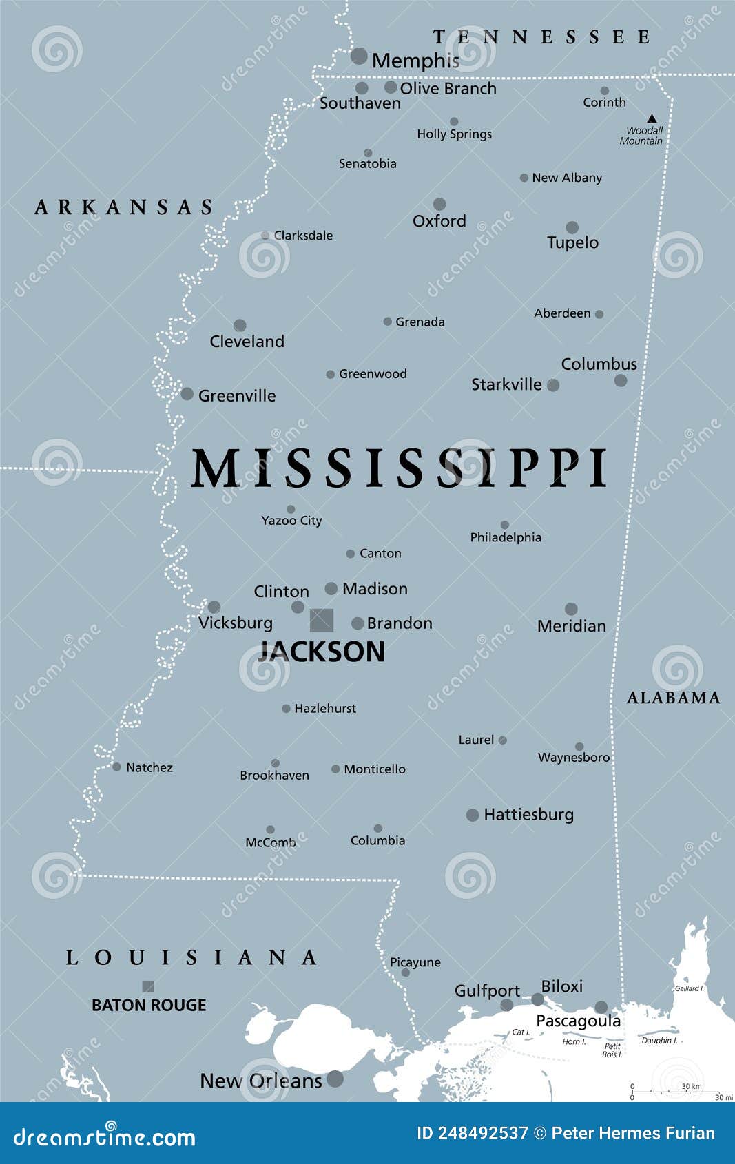 Ms Gray Stock Illustrations – 9 Ms Gray Stock Illustrations, Vectors ...