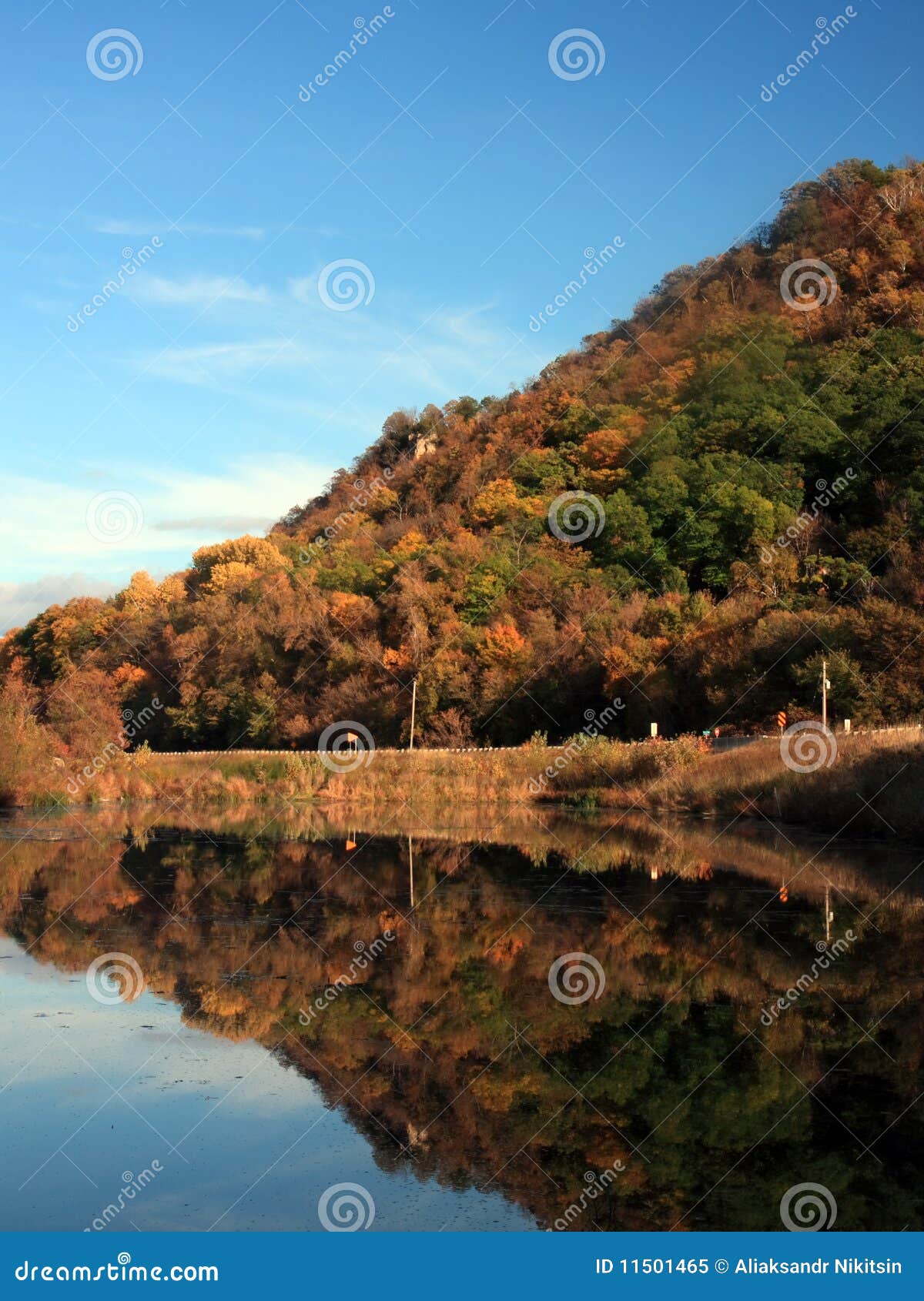 Mississippi River at Fall Vertical View Stock Image - Image of grass ...