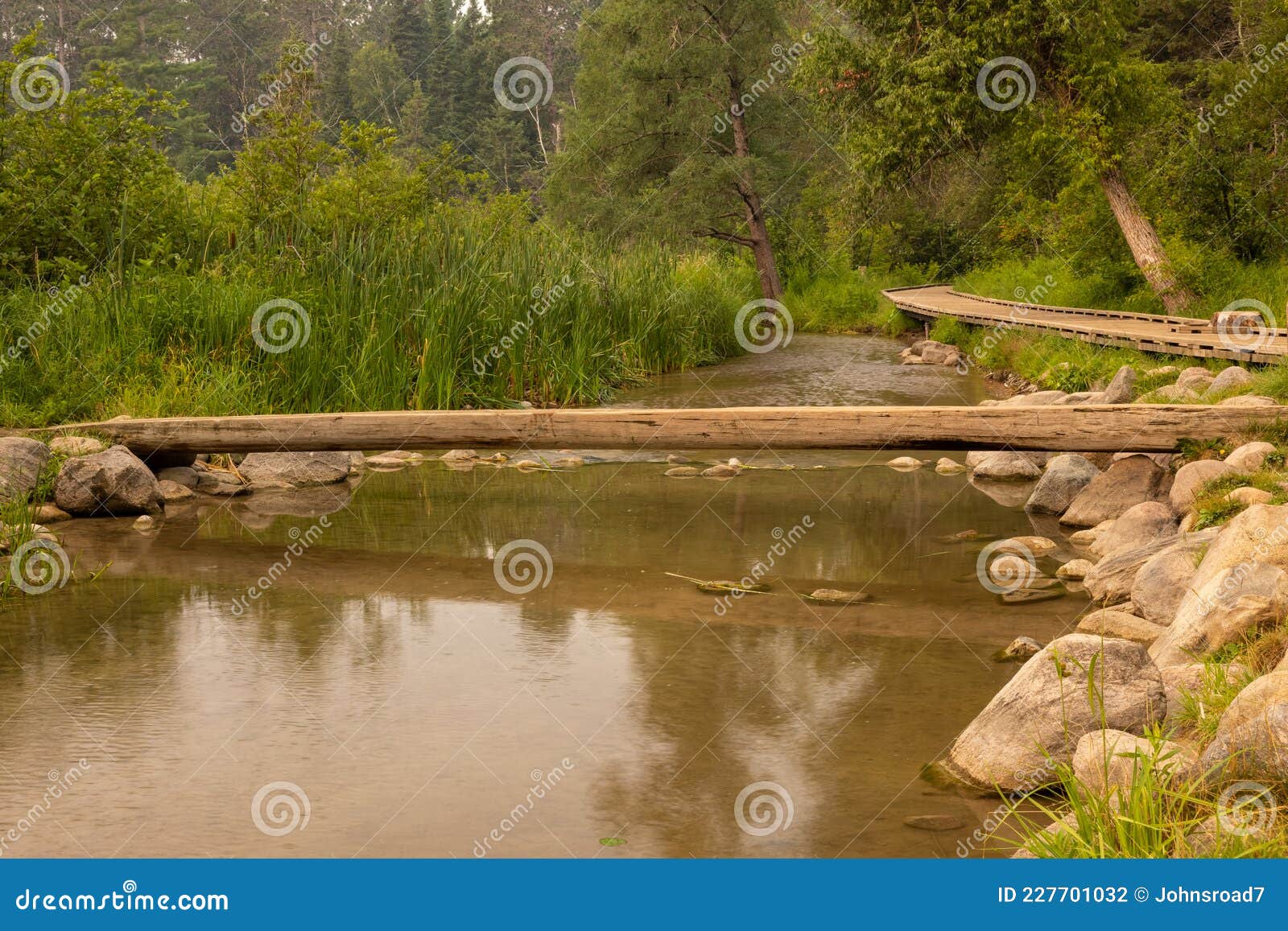 Mississippi River with Log Footbridge Stock Photo - Image of rocks ...
