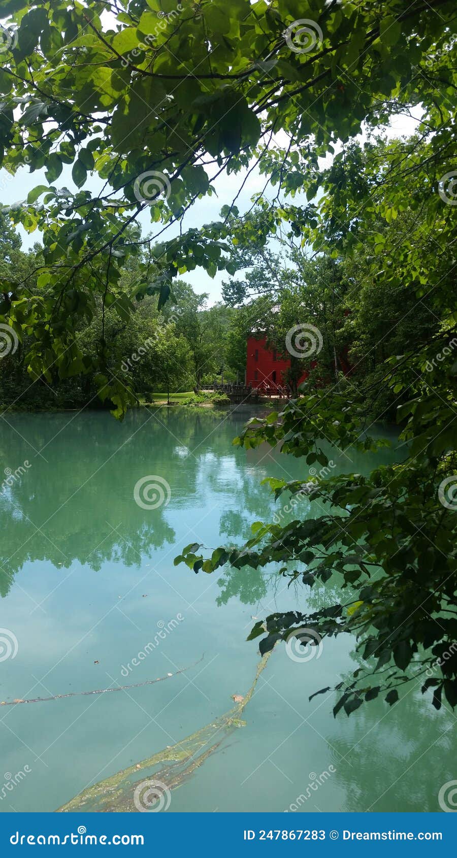 Missouri Beauty 2 stock image. Image of pond, sunlight - 247867283