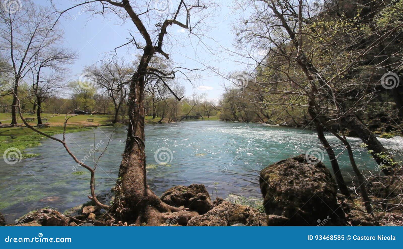 Missouri Current River through Trees at Big Spring Stock Video - Video ...