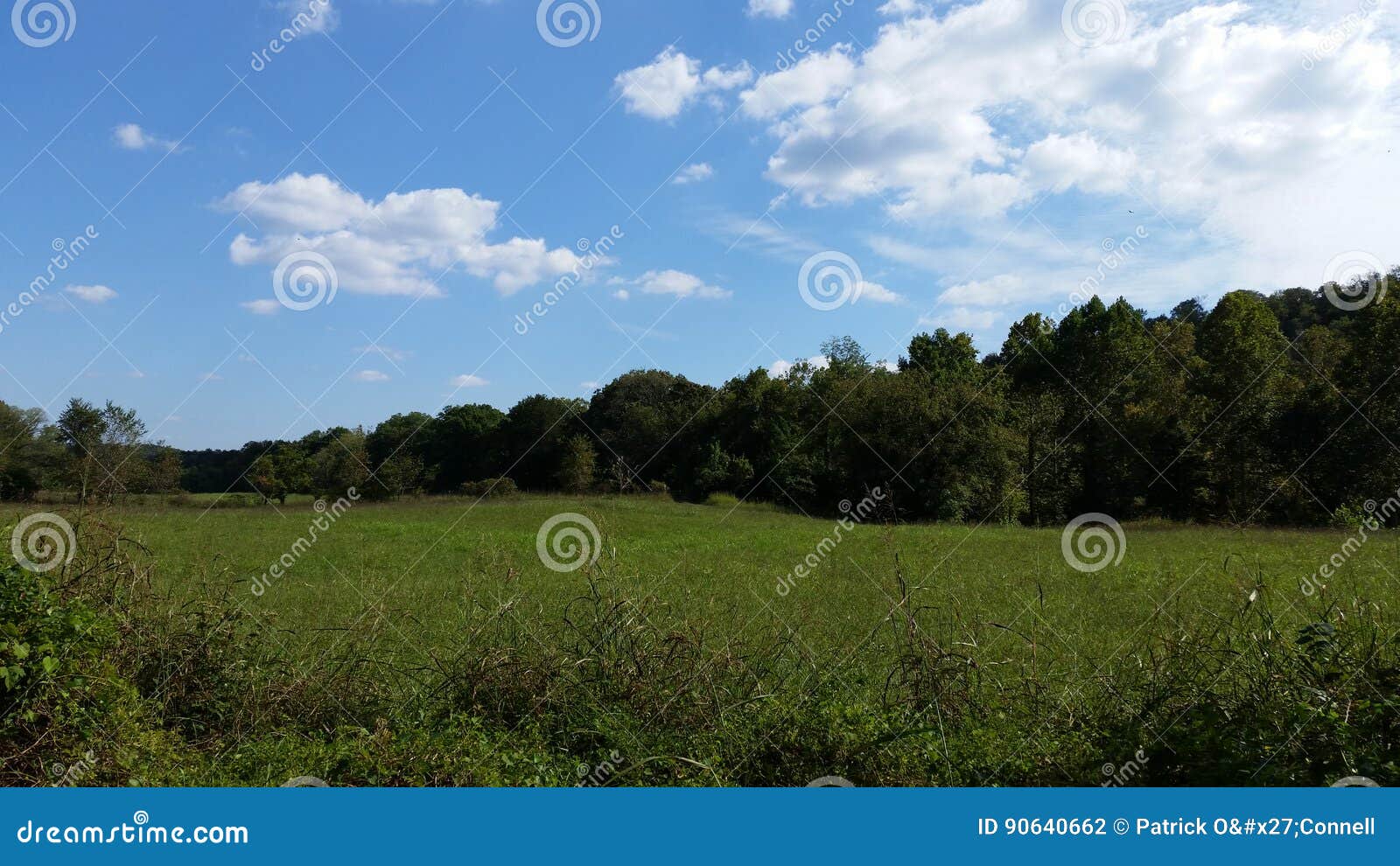 Missouri field stock photo. Image of missouri, trees - 90640662