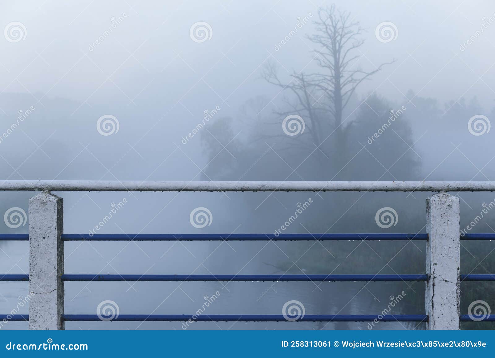 FOG stock image. Image of forest, barriers, bridge, design - 258313061