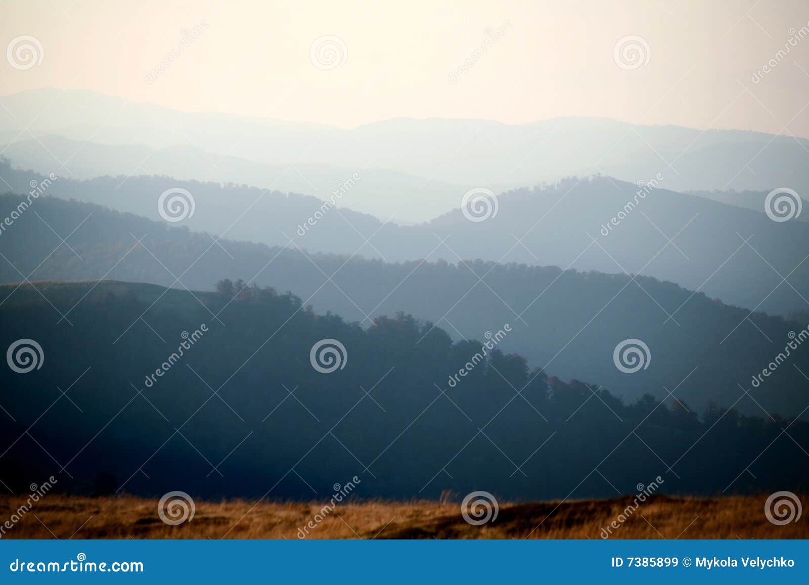 Mist stock image. Image of nature, autumn, scene, dusk - 7385899