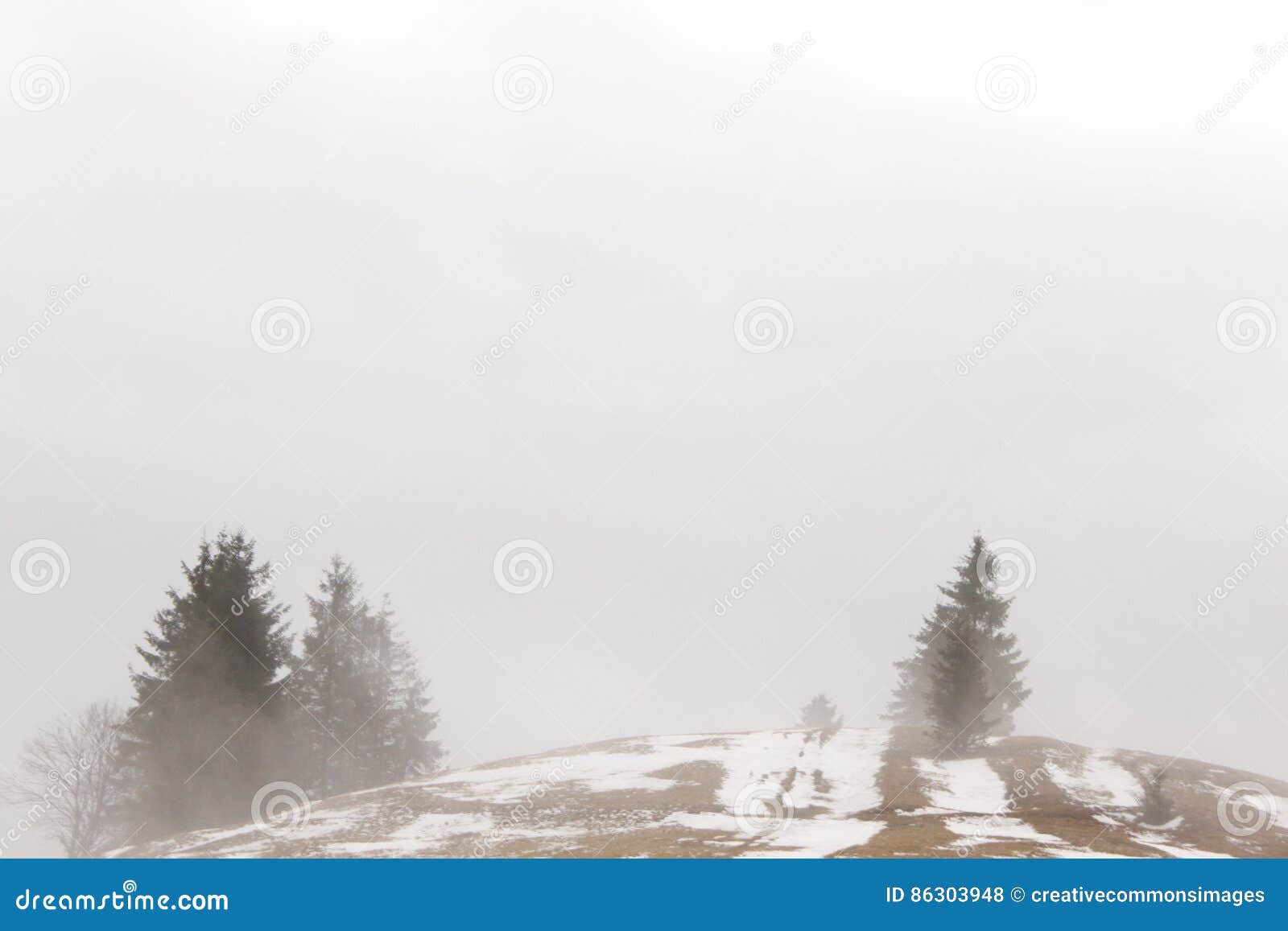 The Mist Picture. Image: 86303948