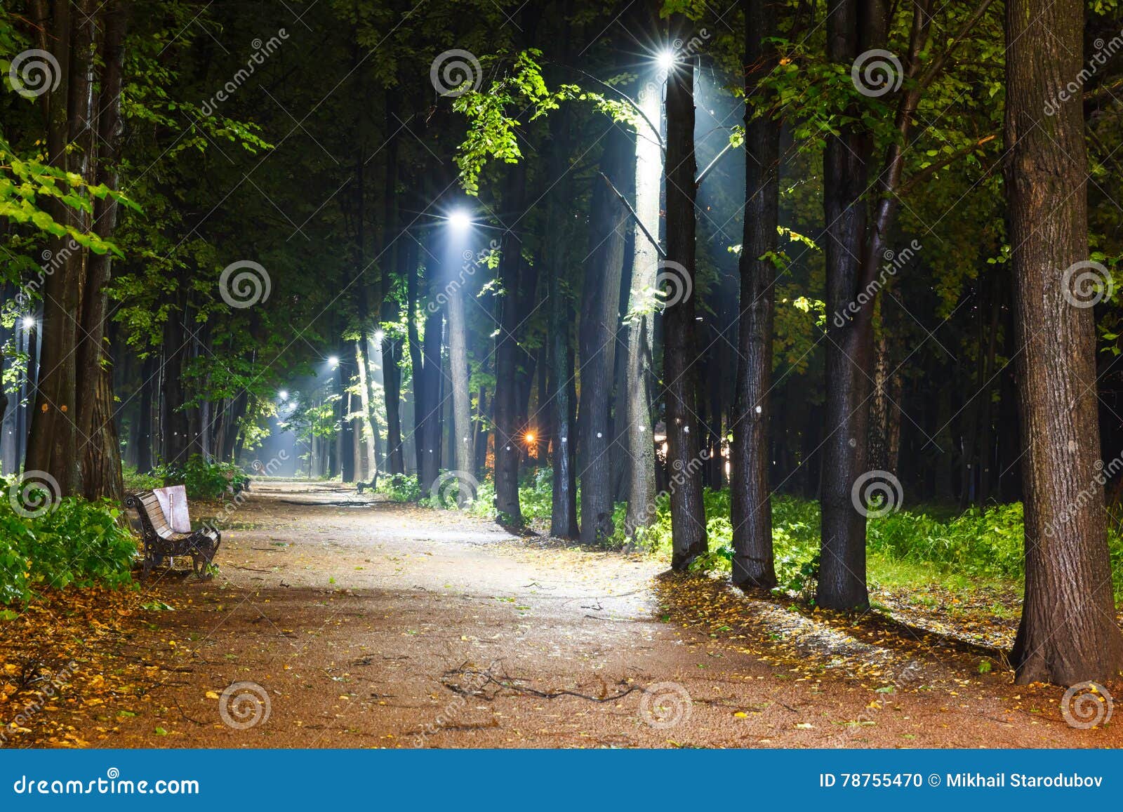 Mist, Benches on Pavement in Light Lantern at Night Stock Photo - Image ...